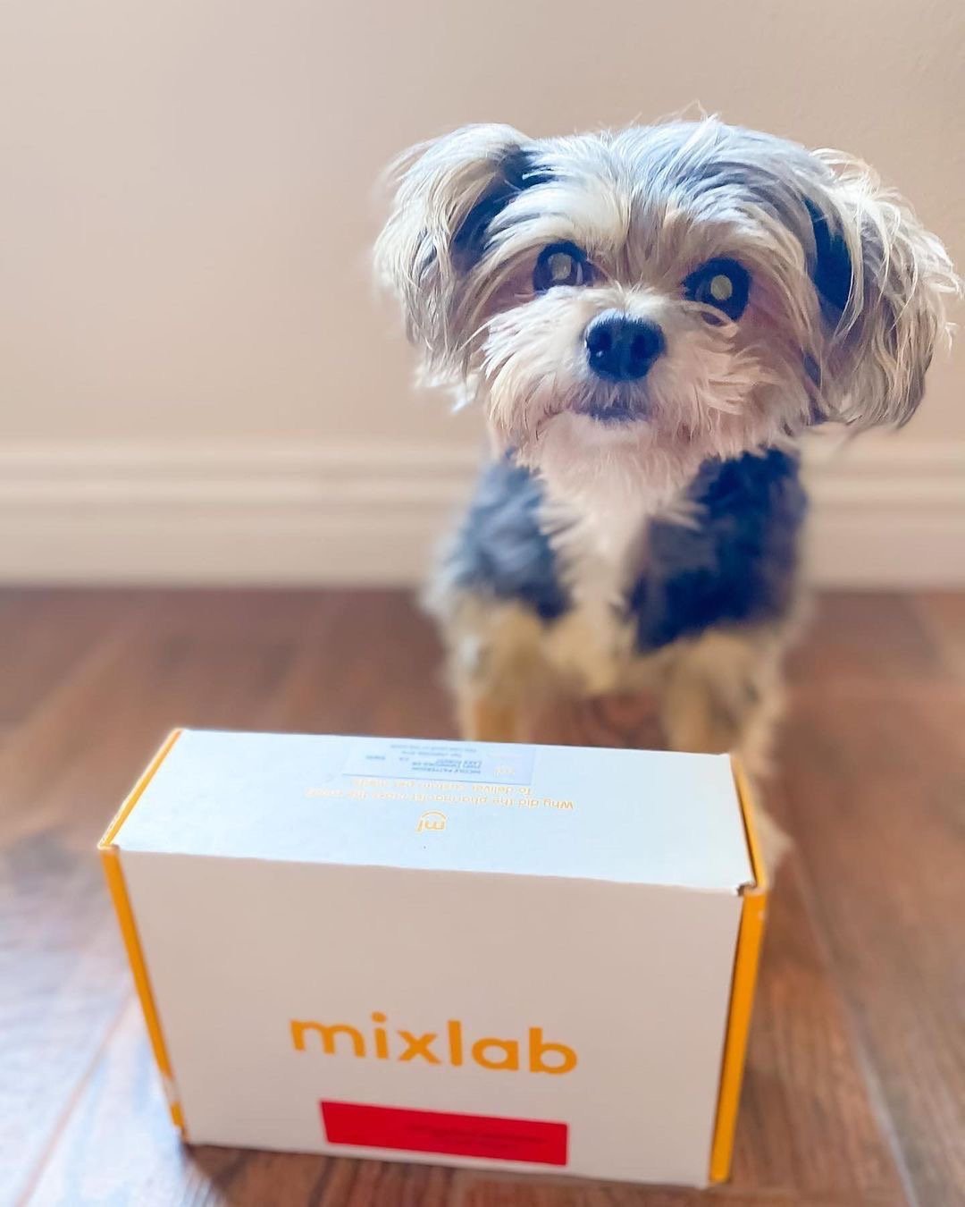 Pet Pharmacy | Get Companion Animal Medication - Mixlab